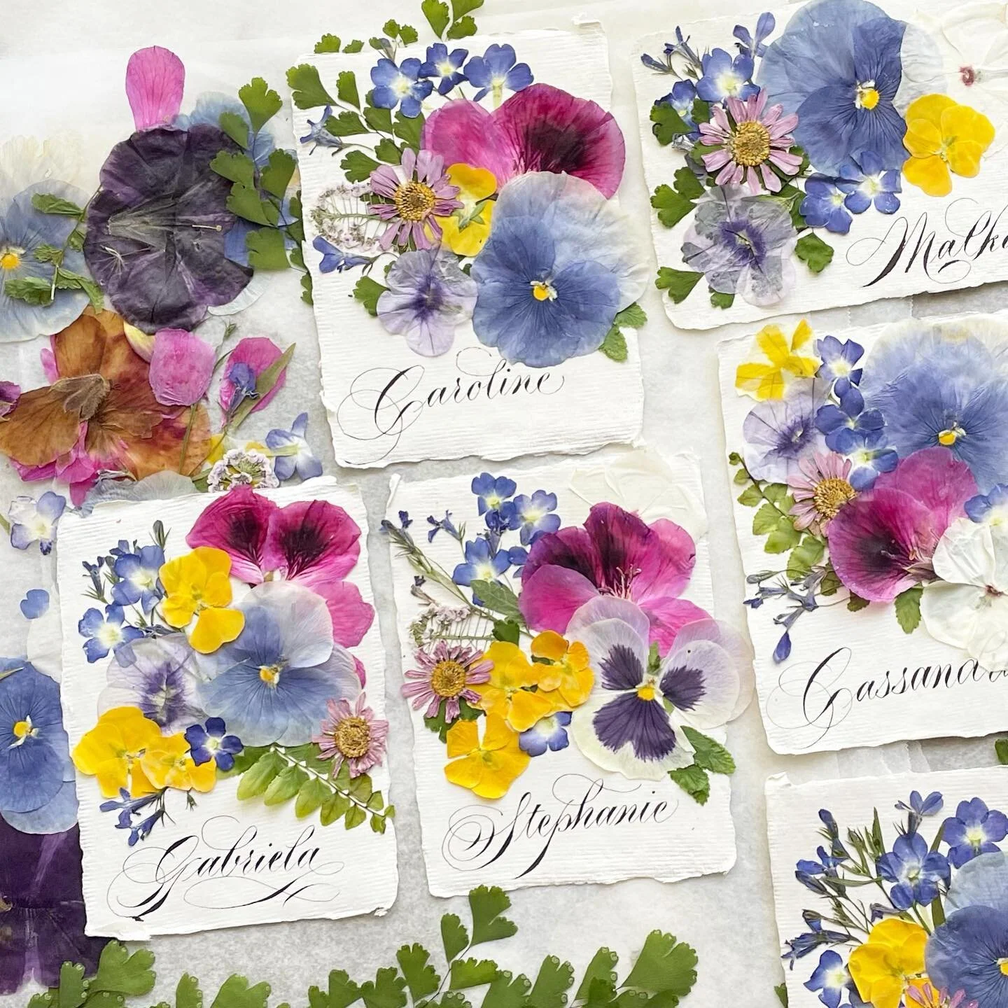 Wild Quill Calligraphy