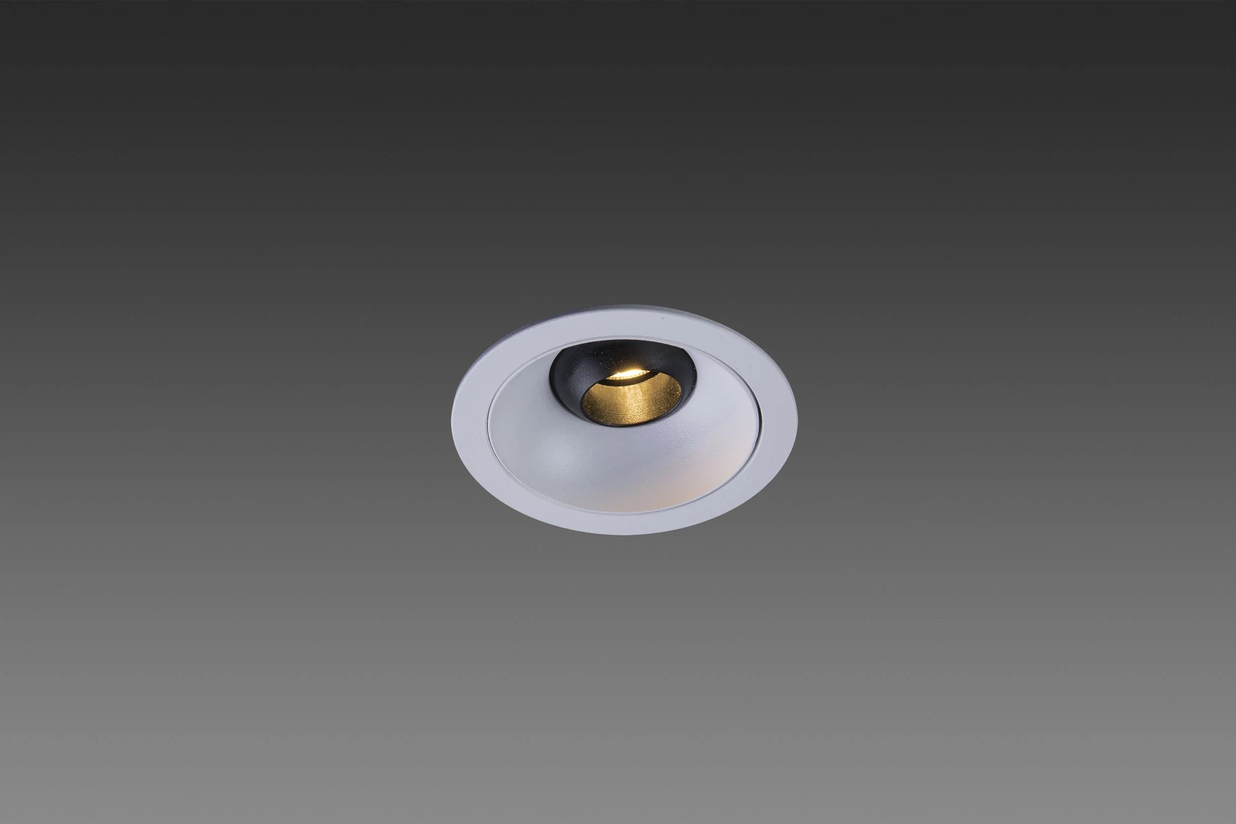 Ricardo Lighting - RL-45021