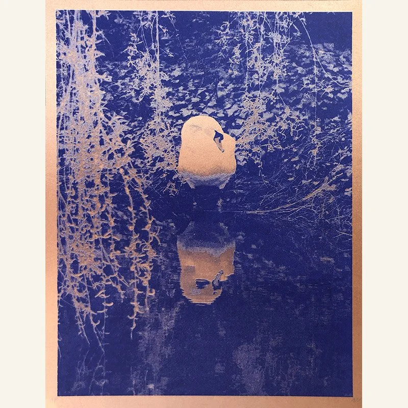 ARTCAN home exhib 2023 — SUNA