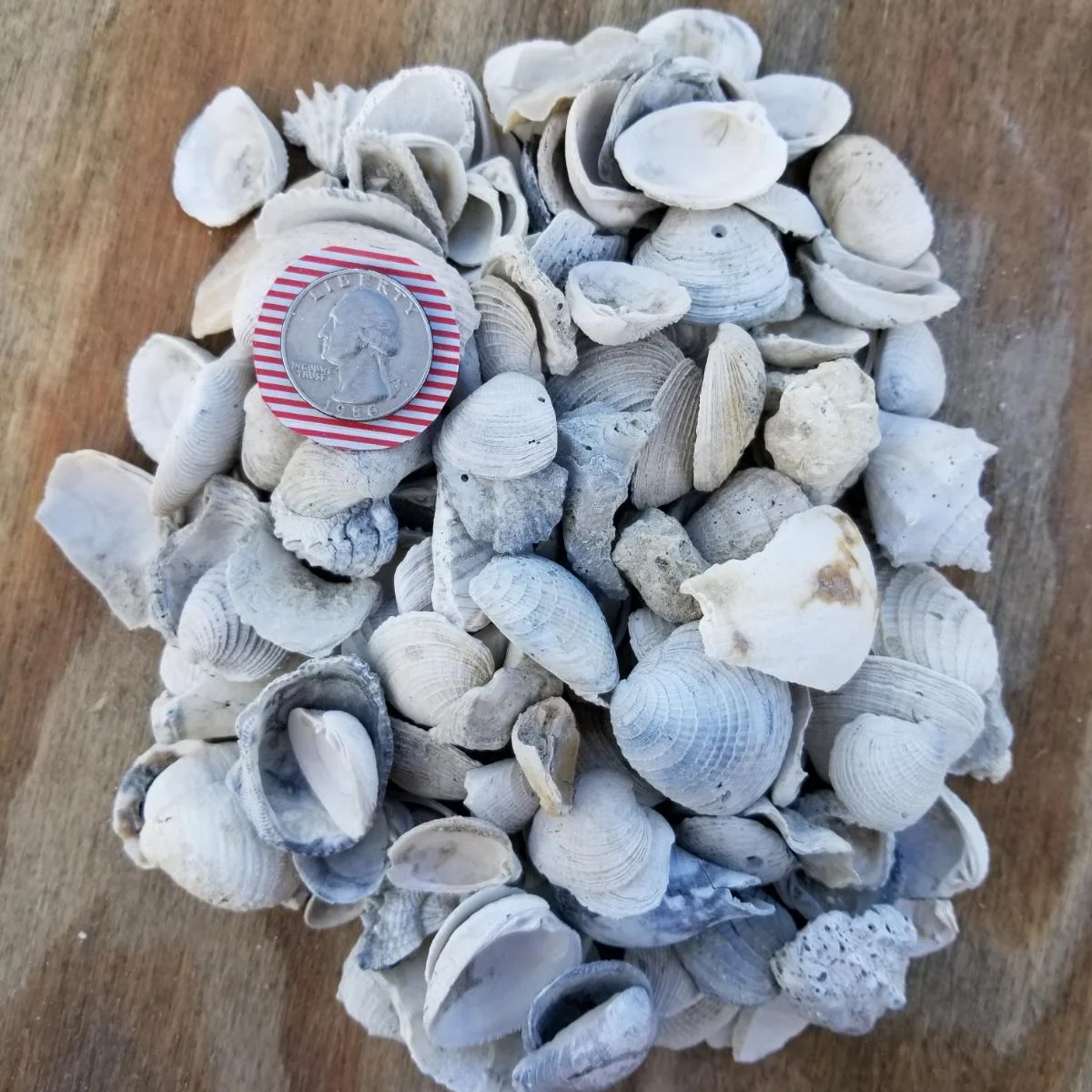 Decorative Rock — Gulf Coast Landscape Nursery & Supply