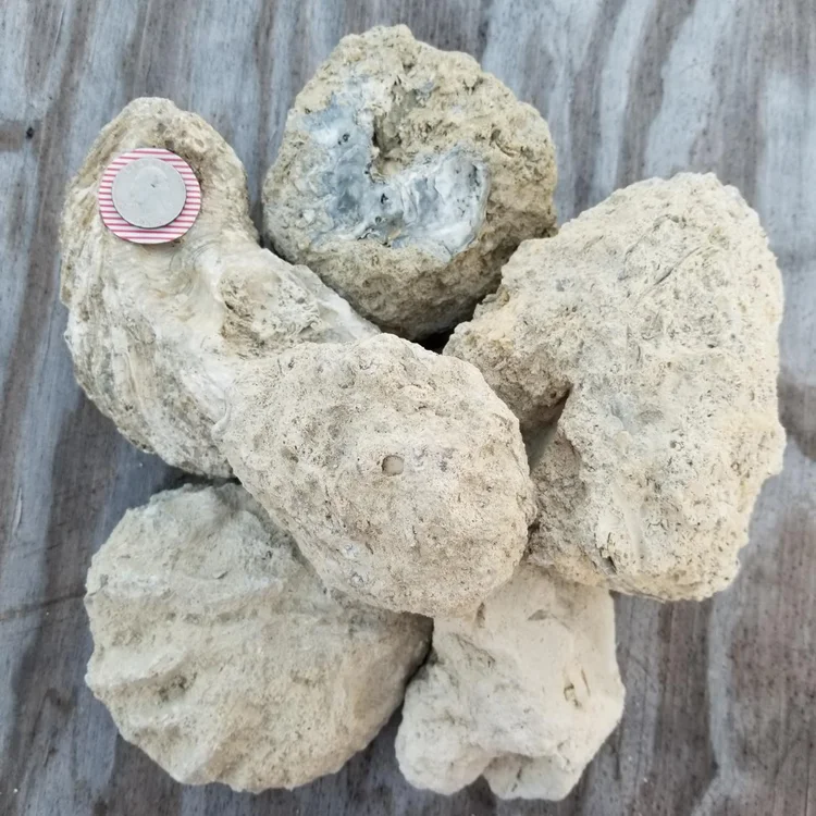 Construction Rock, Soil, Sand & Shell — Gulf Coast Landscape Nursery ...