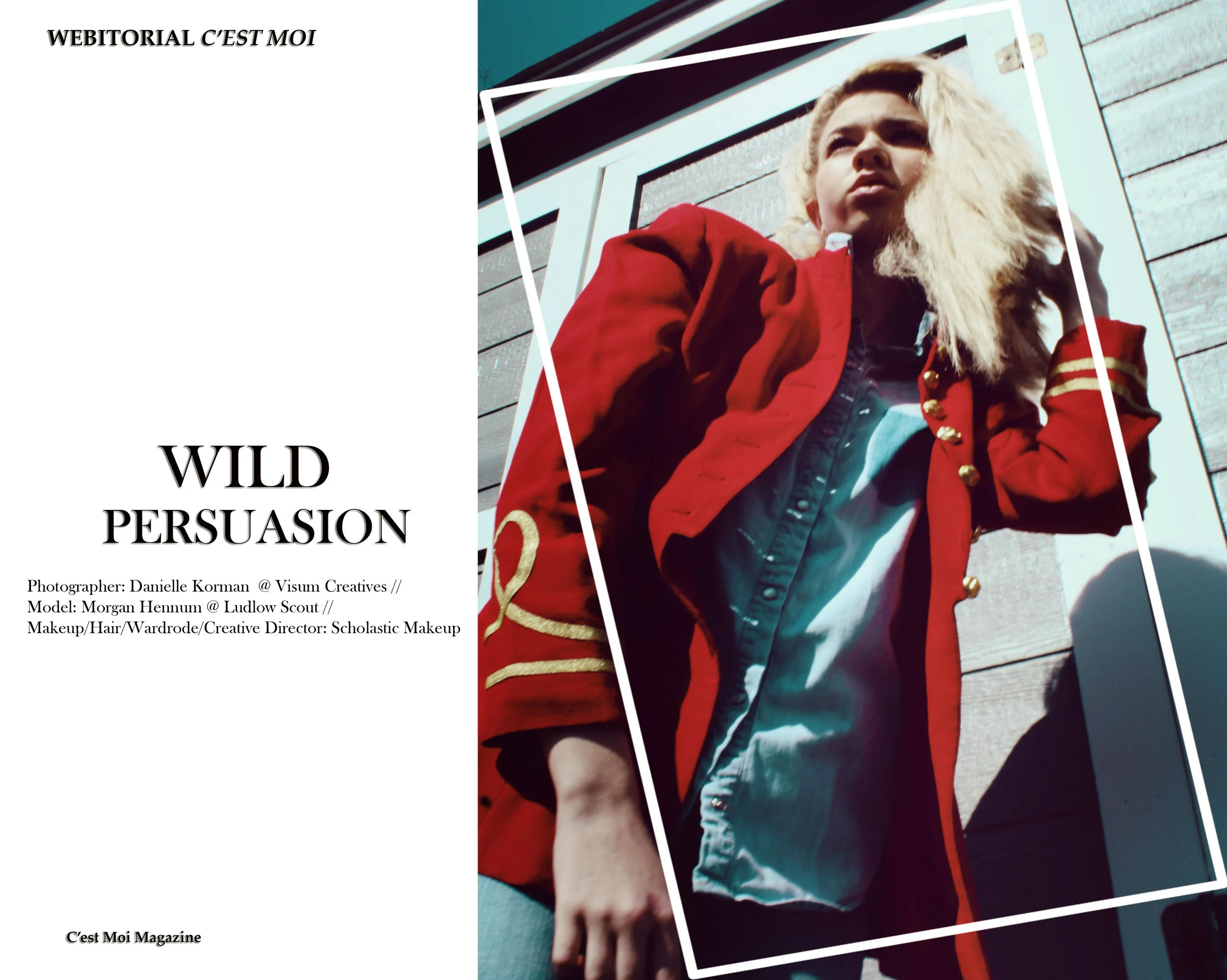 Wild Persuasion — Danielle Korman Photography