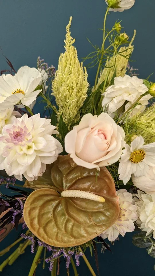 Gallery — Petal Pop Flowers