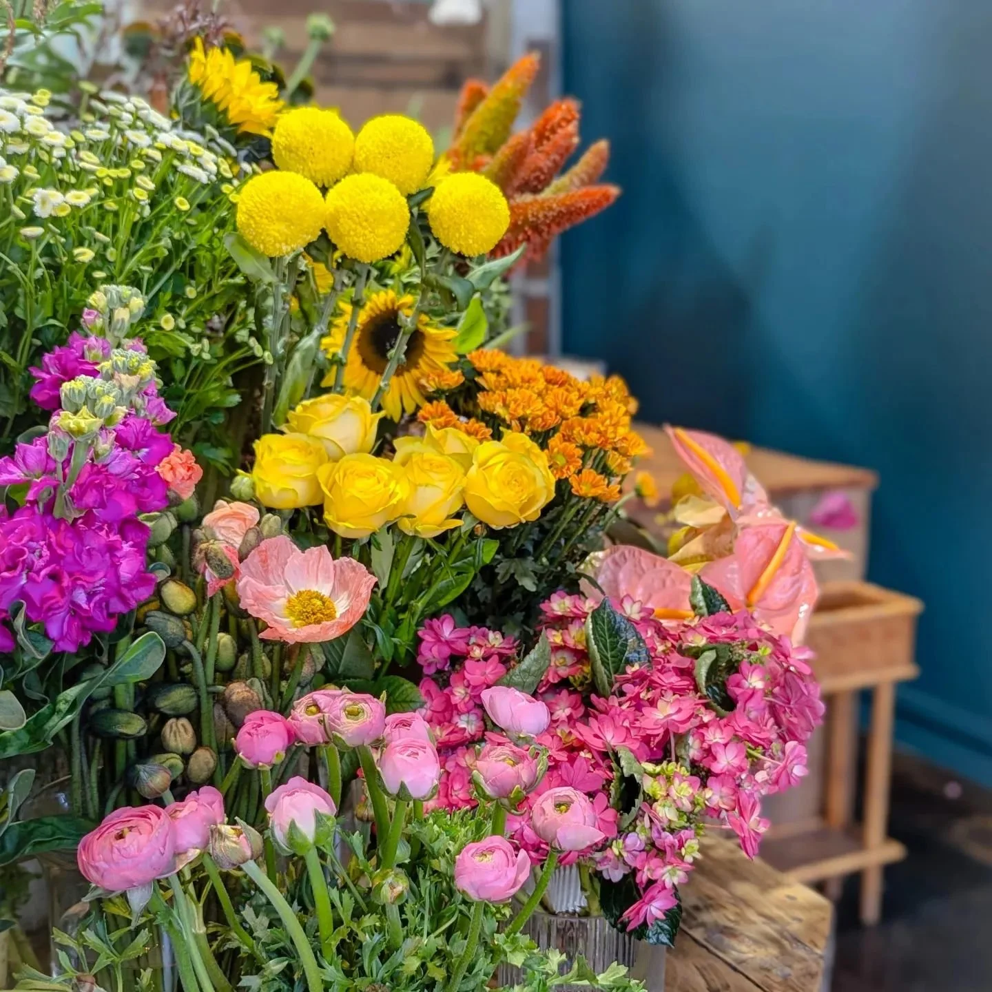 Gallery — Petal Pop Flowers