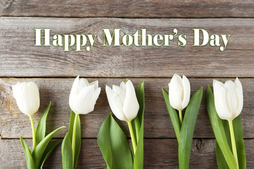 Celebrating Mother's Day at the Great Lakes — Cap'n Jim's Gallery