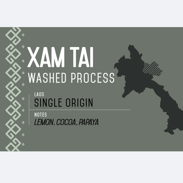 Shop — Yuni Coffee Co.