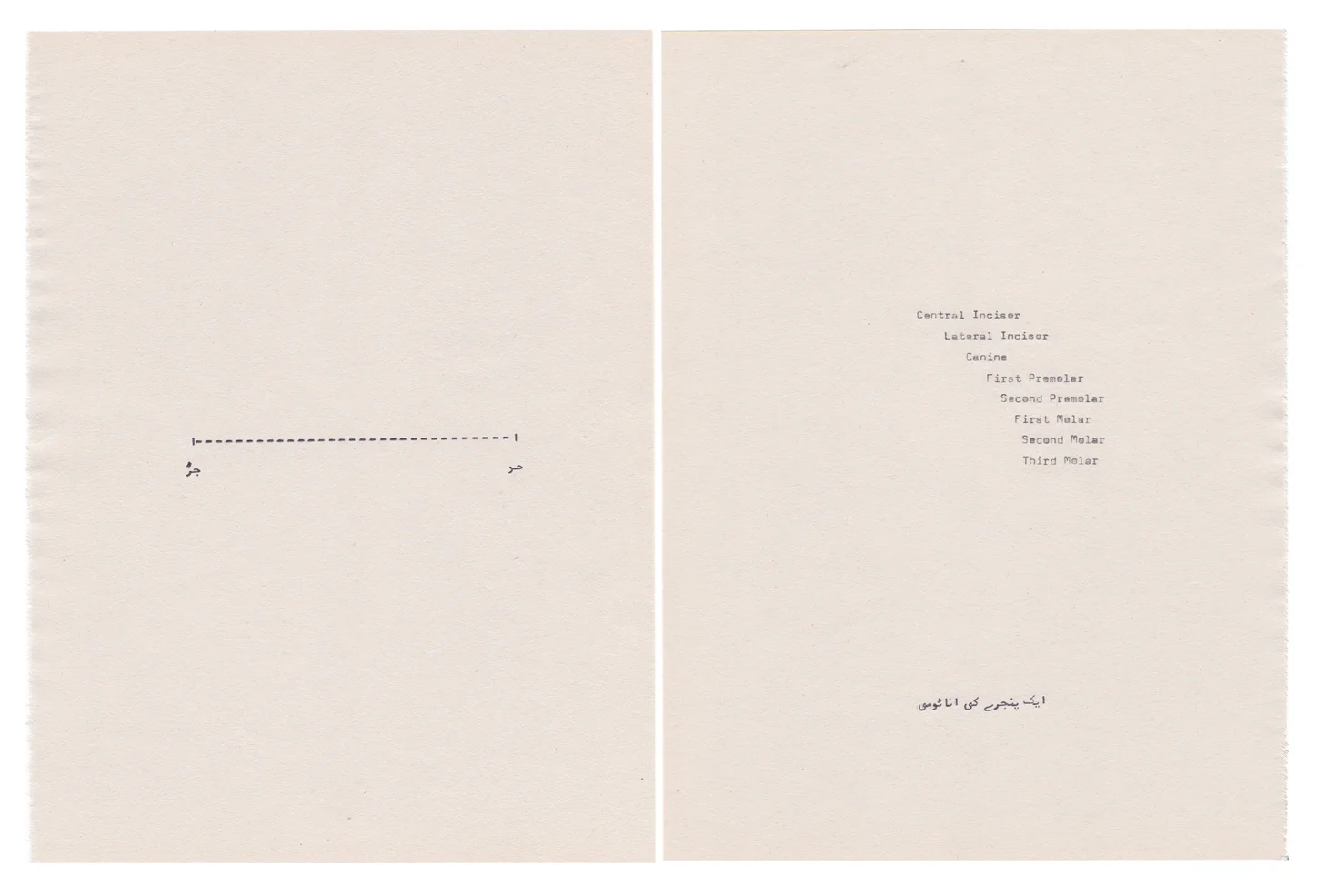 Fazal Rizvi — Indigo+Madder