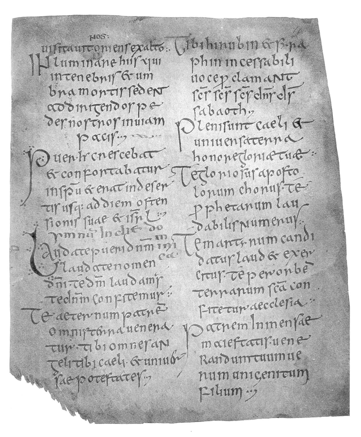 Te Deum laudamus — Hymnology Archive
