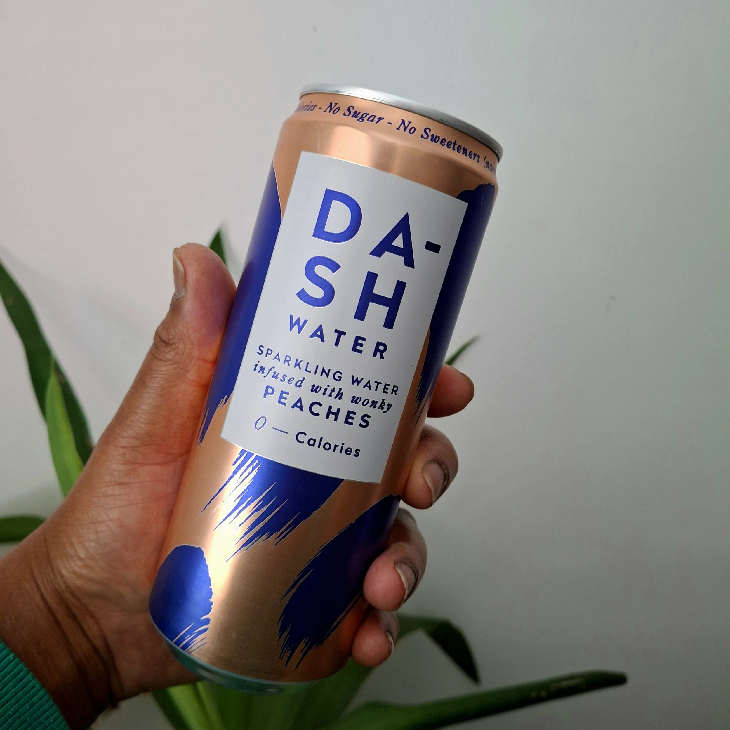 Dash Water - Wonky Fruit Infused Sparking Water Review — Naturally ...