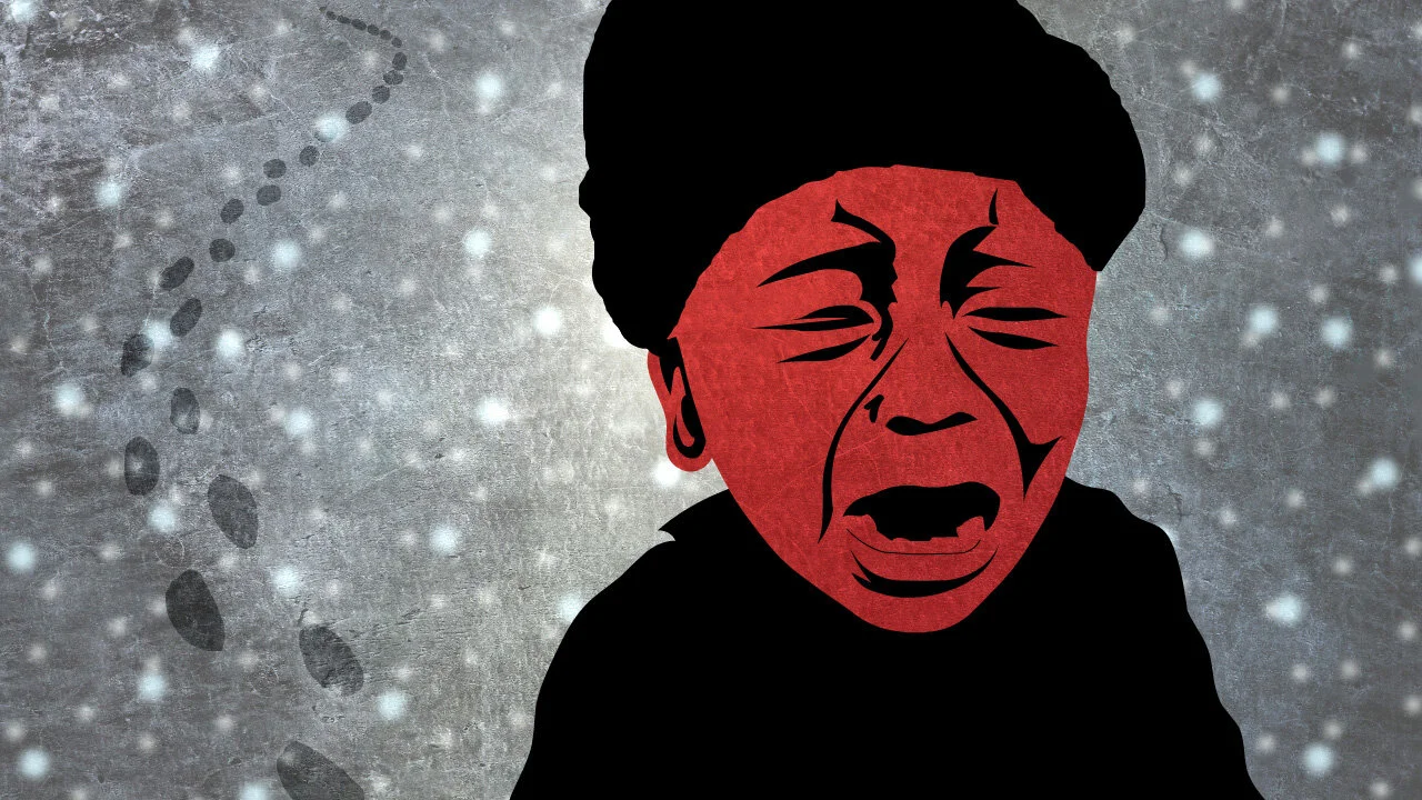 The Christmas Guest (Illustrated Poem) — imBeggar