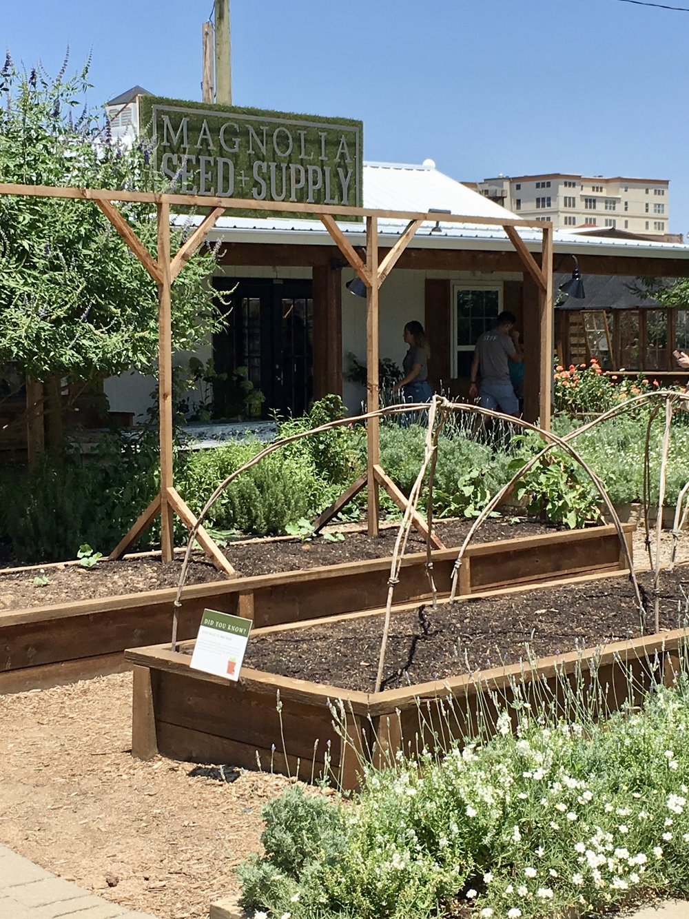 Magnolia Trip Guide — Classy Confident Chelbell