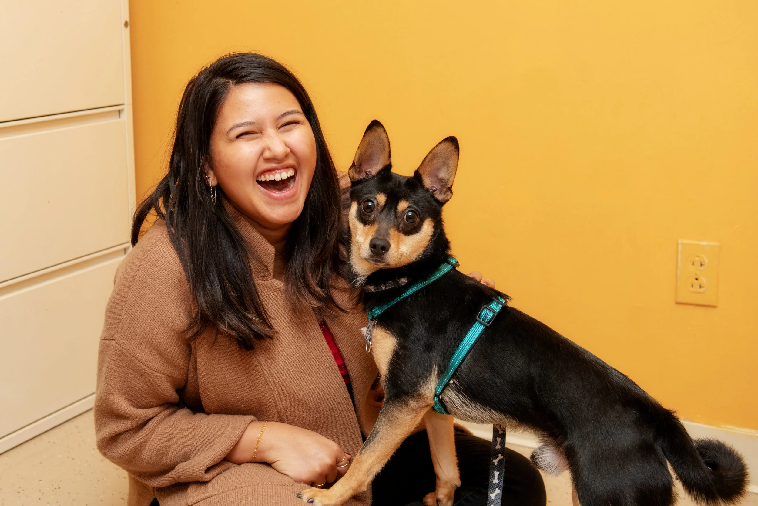 The Cathy Kangas Foundation for Animals