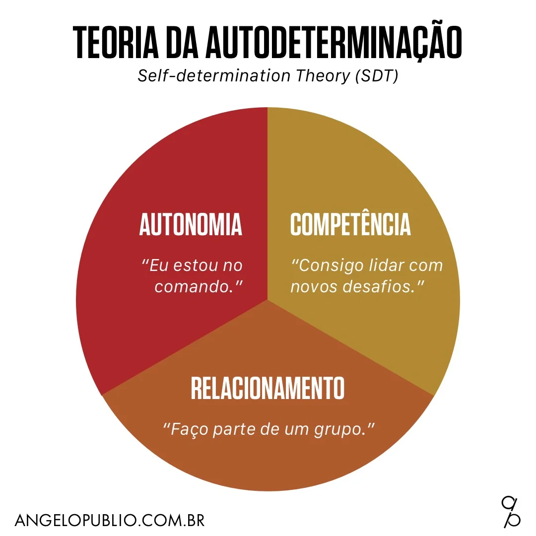 Como motivar pessoas no seu site usando a Teoria da Autodeterminação