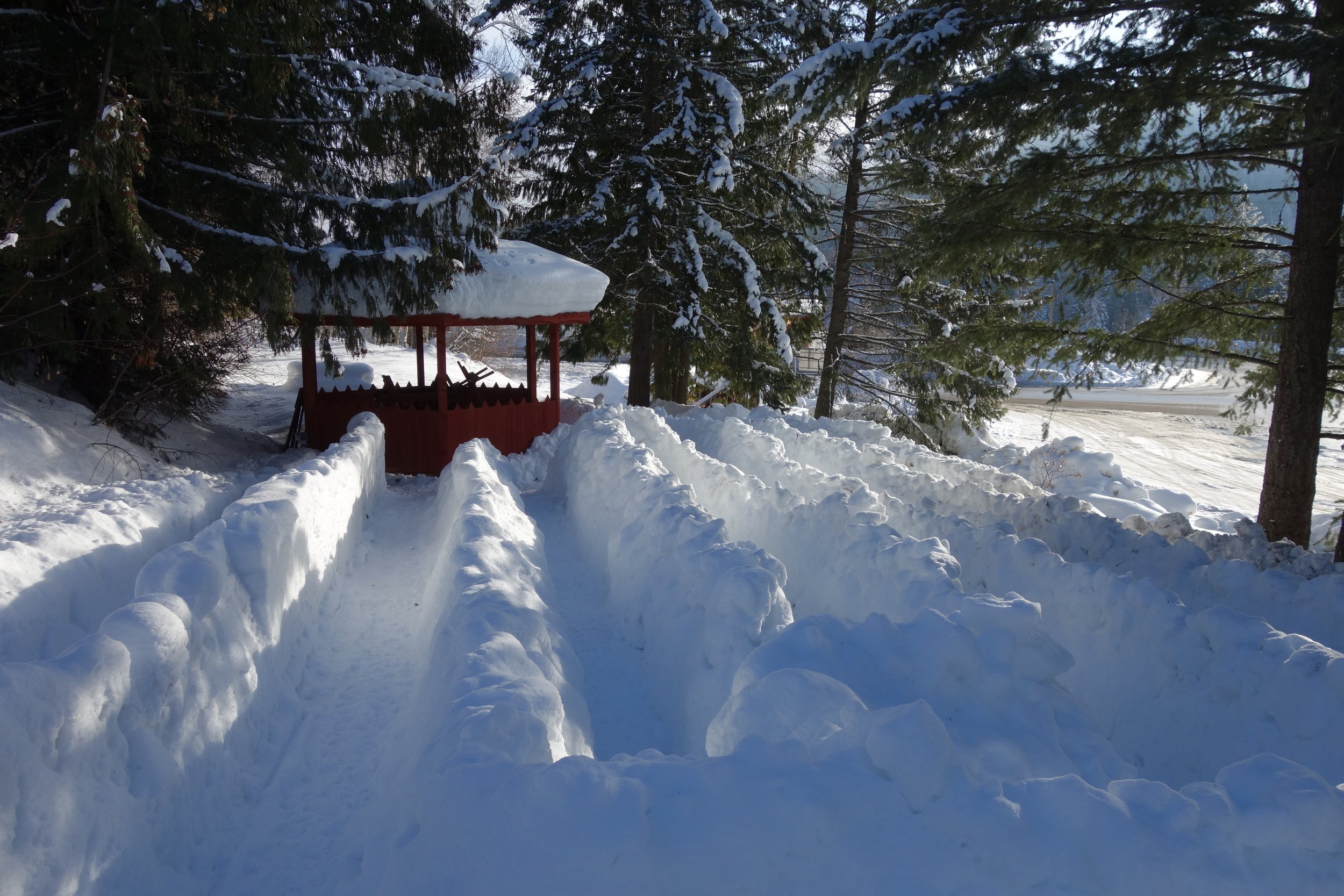 2024 Winter Carnival Activities at the Museum — Rossland Museum ...