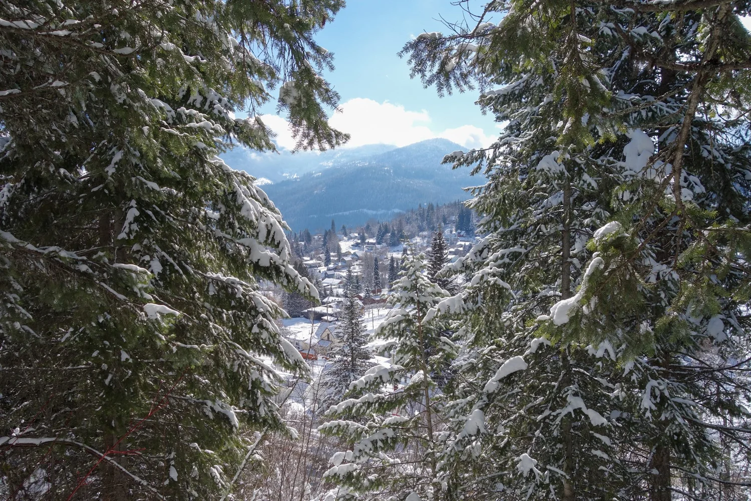 2026 Rossland Winter Carnival Activities at the Museum — Rossland ...