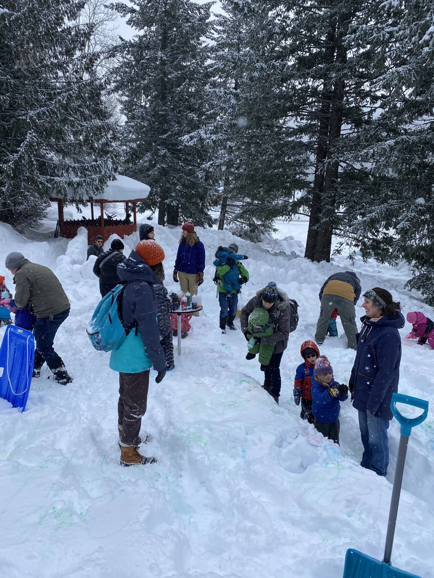 2026 Rossland Winter Carnival Activities at the Museum — Rossland ...