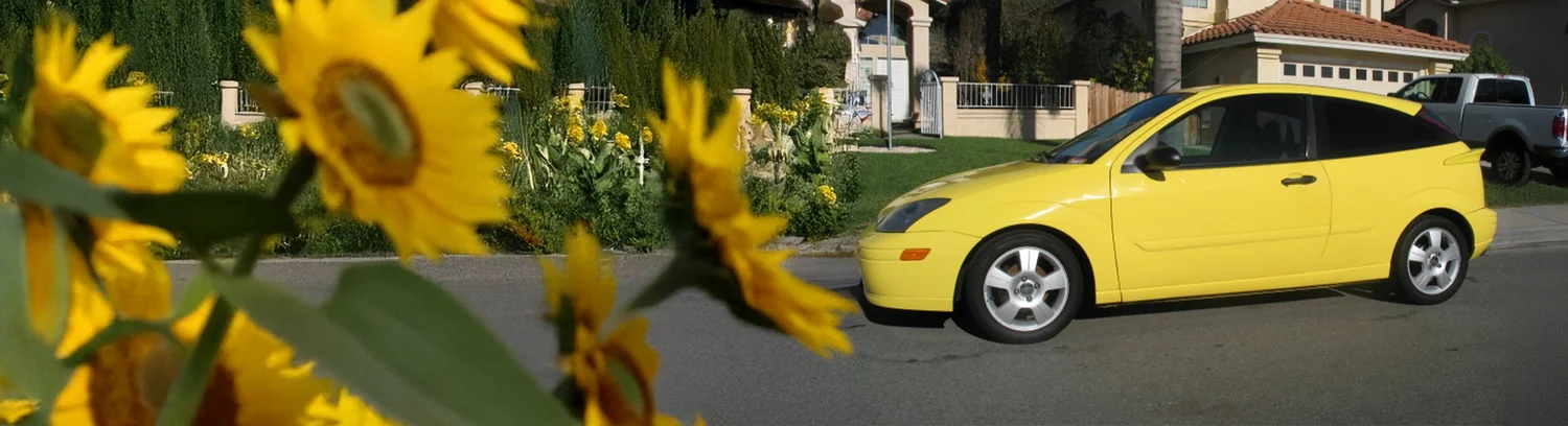 Projects — FocusRush