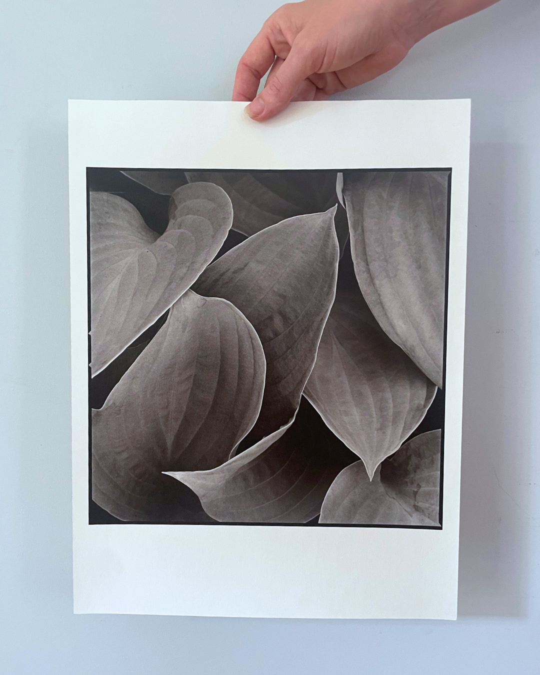 Paul Hart “Northlands from DRAINED” – Selenium Toned Silver Gelatin ...
