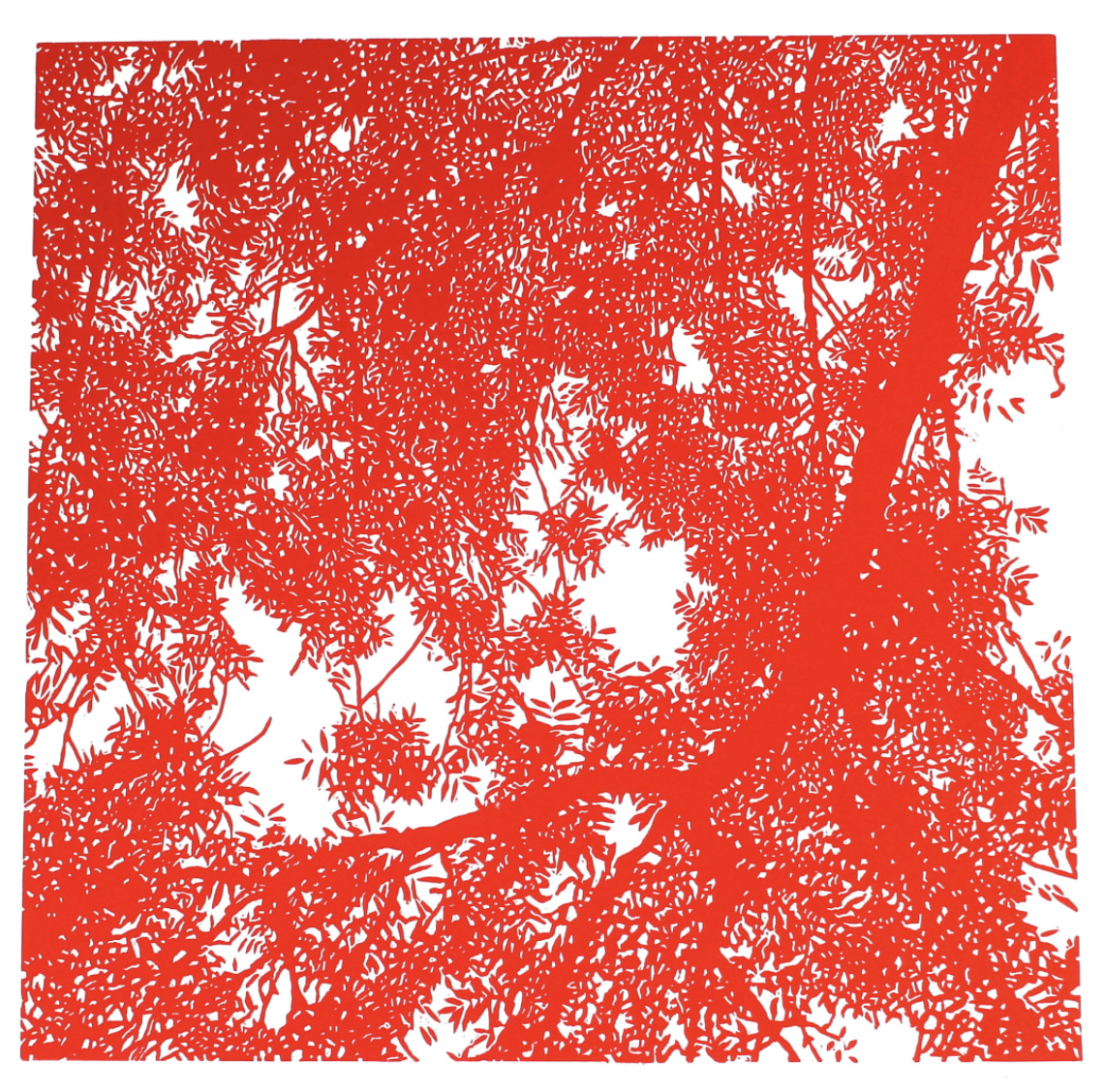 Andrew Carter: The Tree I Fell Out Of — Fen Ditton Gallery