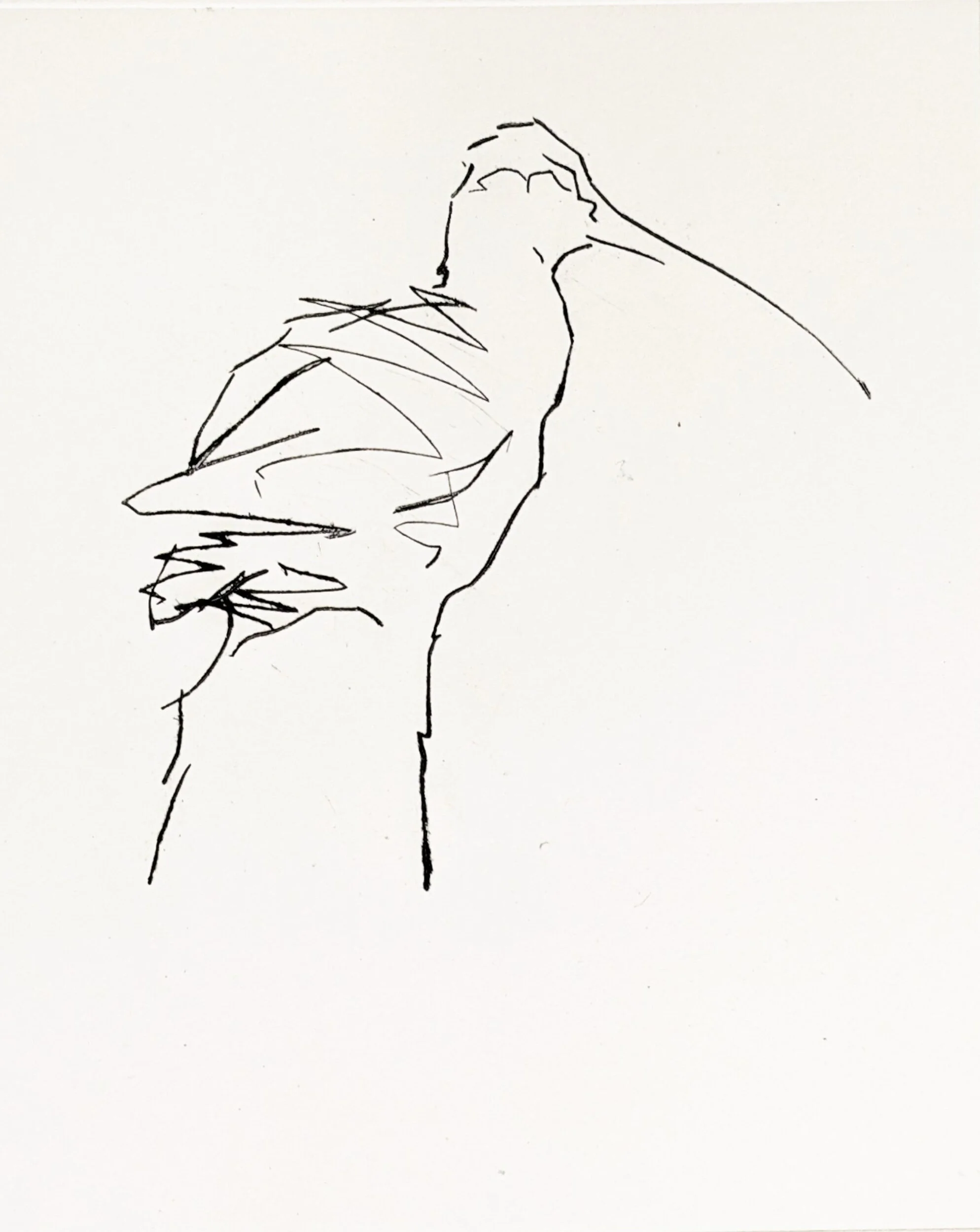 Printmaking Prize — Fen Ditton Gallery