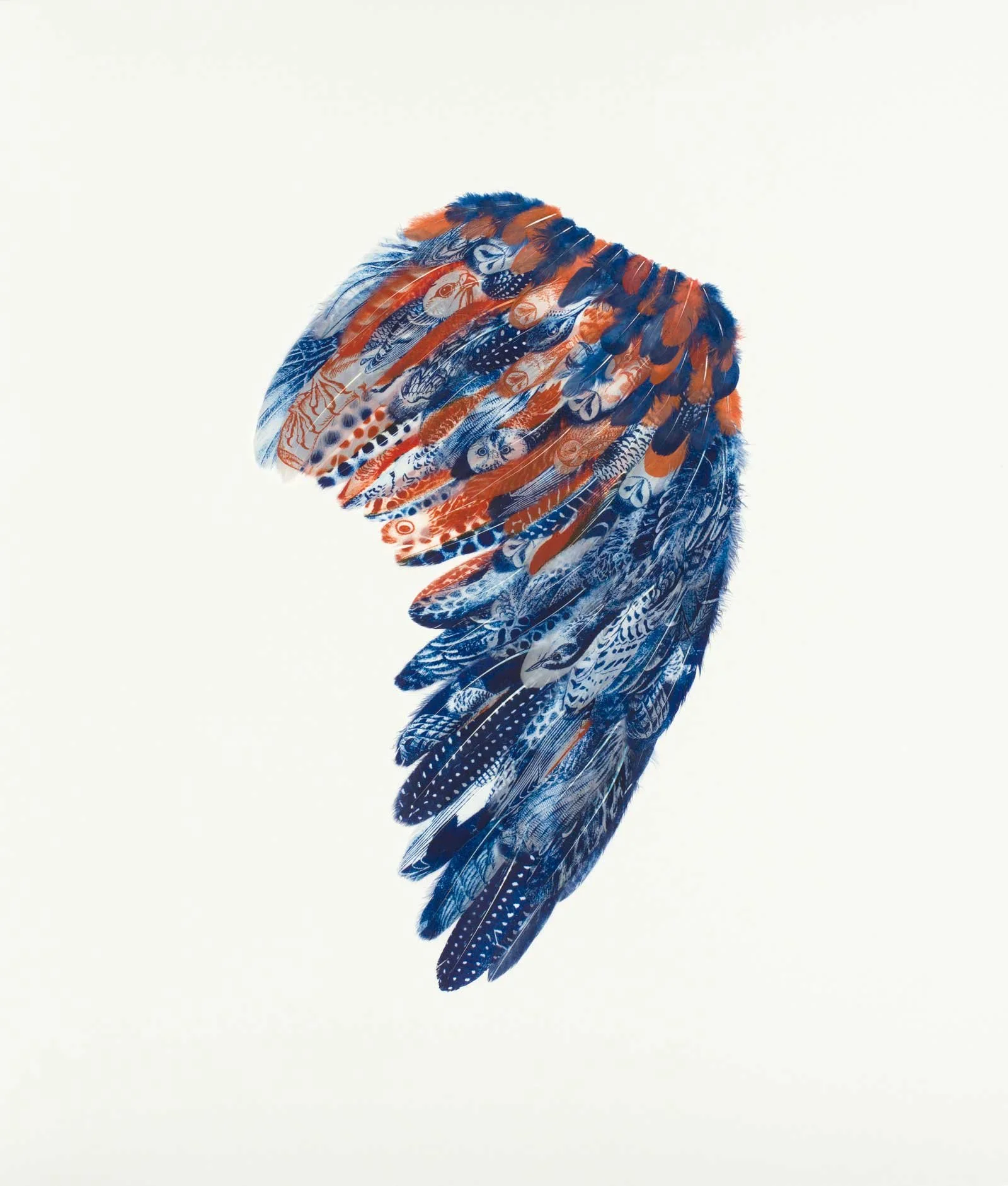 Rebecca Jewell: Printmaker and Collage Artist — Fen Ditton Gallery