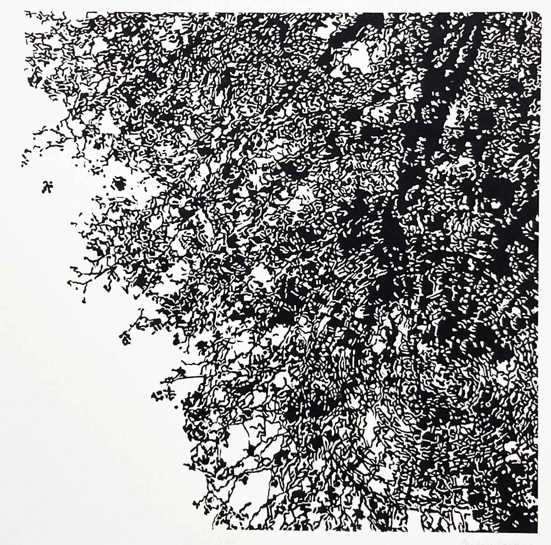 Art and Environment: An Autumn Season — Fen Ditton Gallery