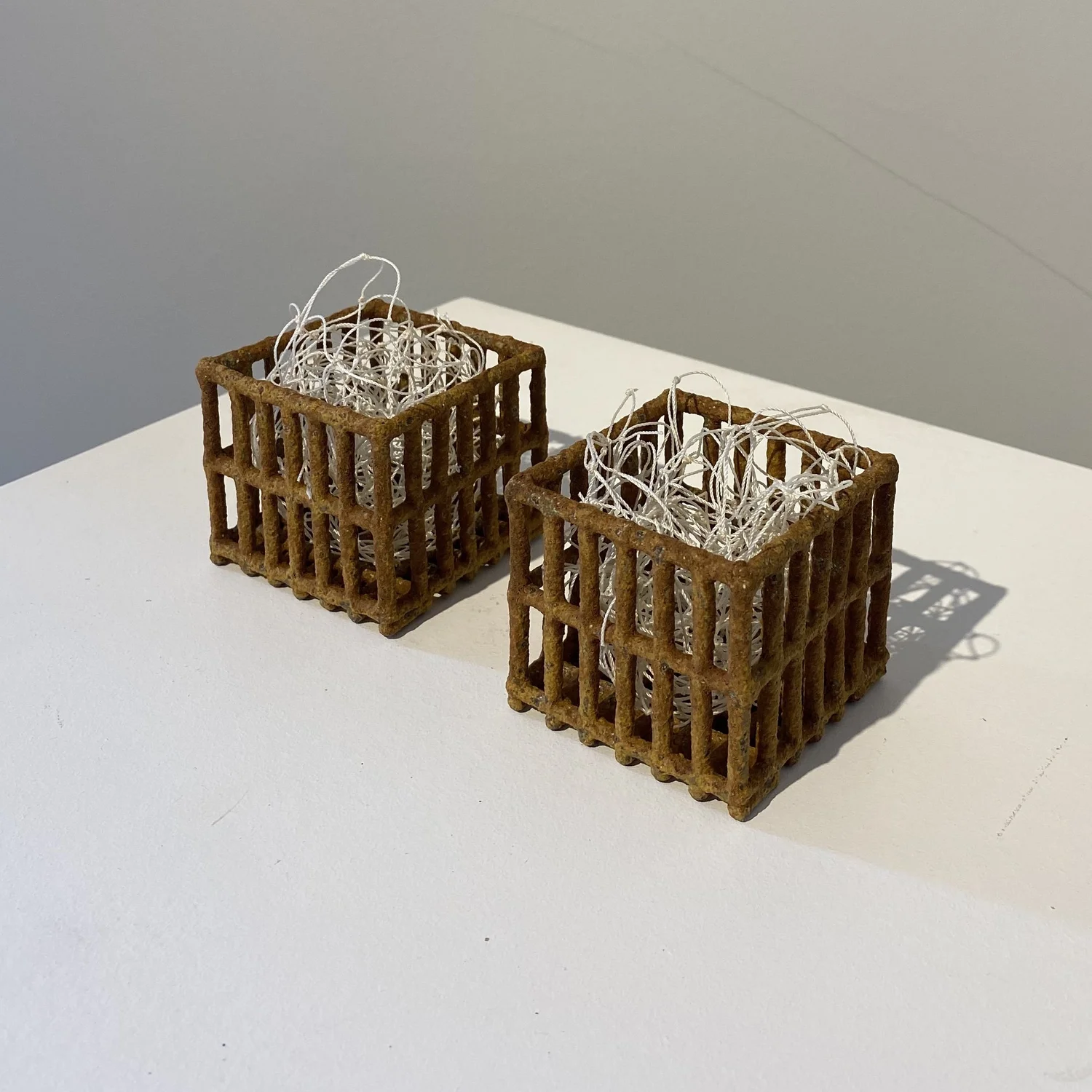 Art and Environment — Fen Ditton Gallery