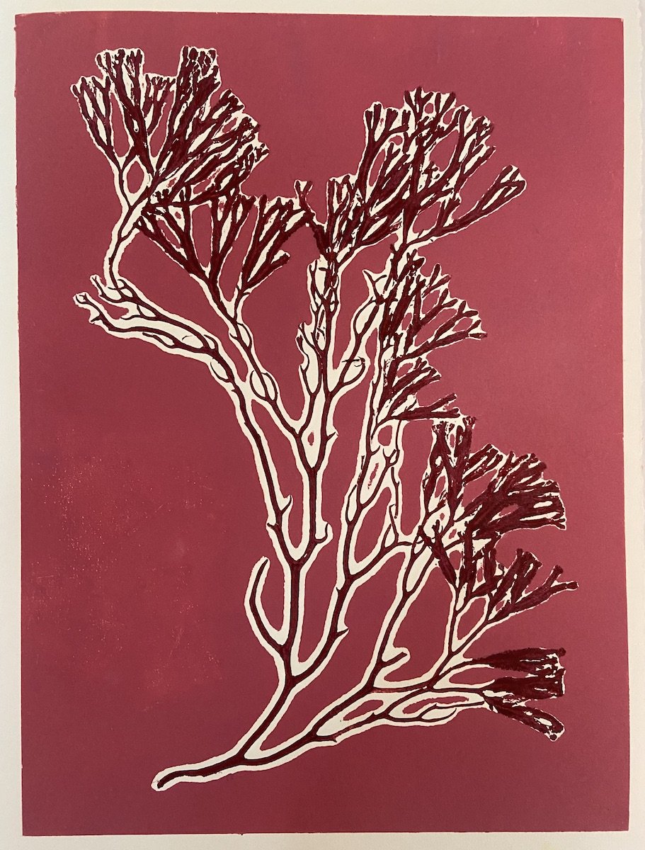 Rebecca Jewell: Printmaker and Collage Artist — Fen Ditton Gallery