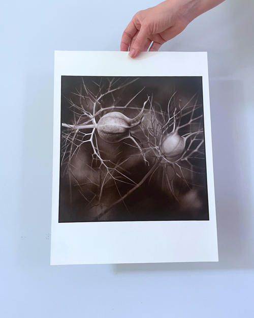 Paul Hart “Northlands from DRAINED” – Selenium Toned Silver Gelatin ...