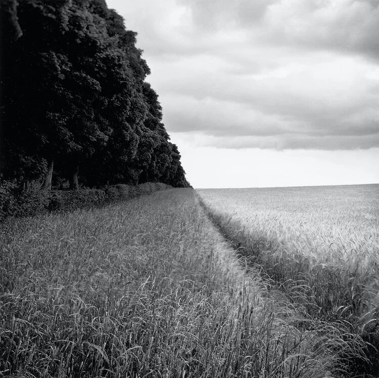Paul Hart “Northlands from DRAINED” – Selenium Toned Silver Gelatin ...