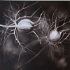 Paul Hart “Northlands from DRAINED” – Selenium Toned Silver Gelatin ...