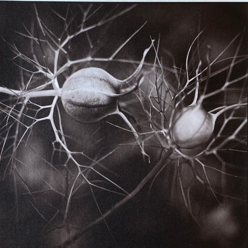 Paul Hart “Northlands from DRAINED” – Selenium Toned Silver Gelatin ...