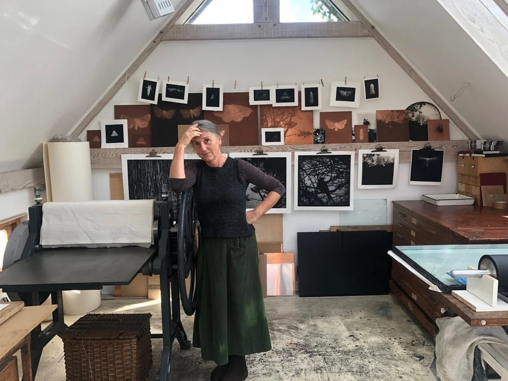 Podcast: Artist Interview with Sarah Gillespie — Fen Ditton Gallery