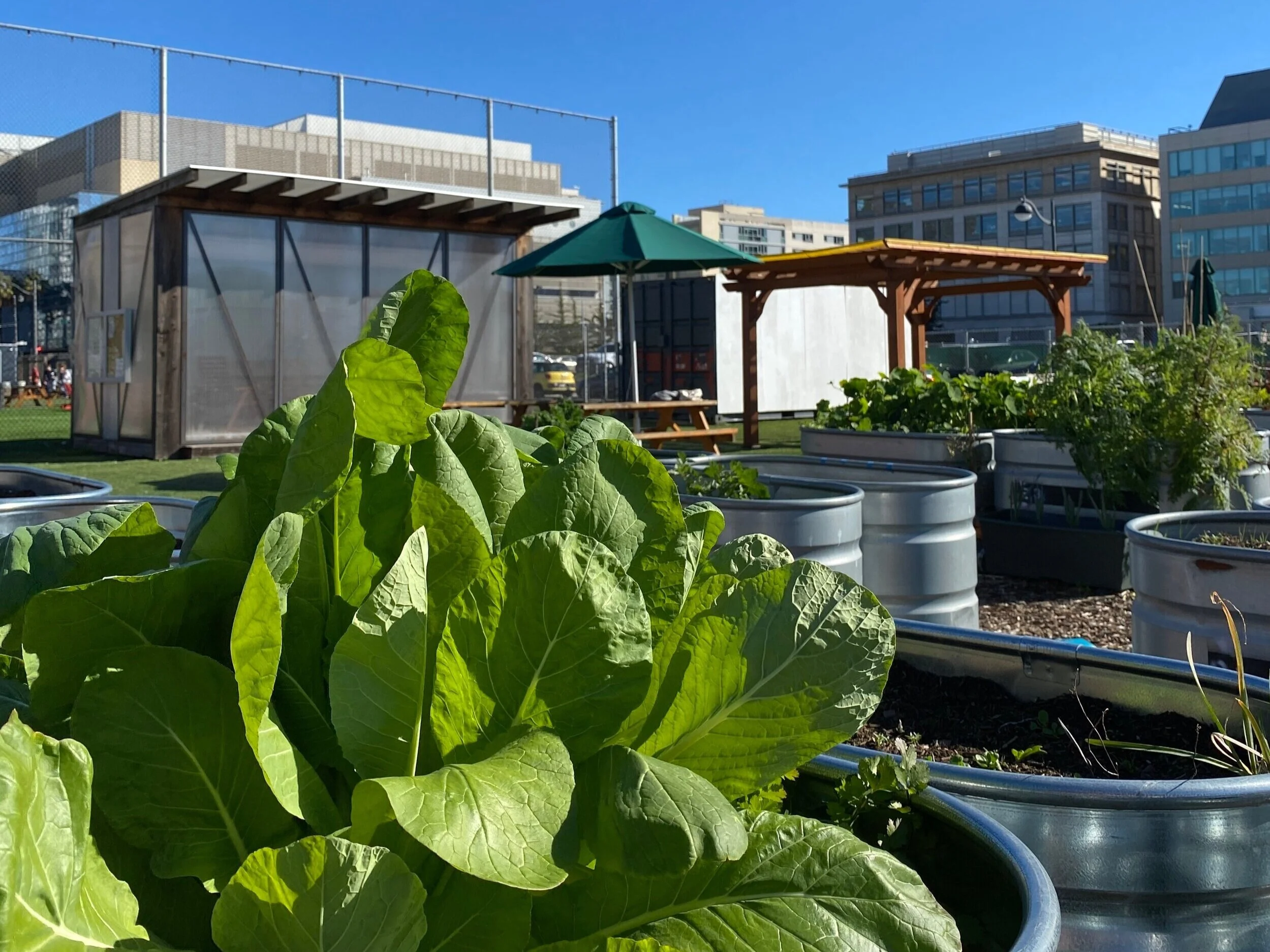 Parklab Community Garden — Urban Sprouts