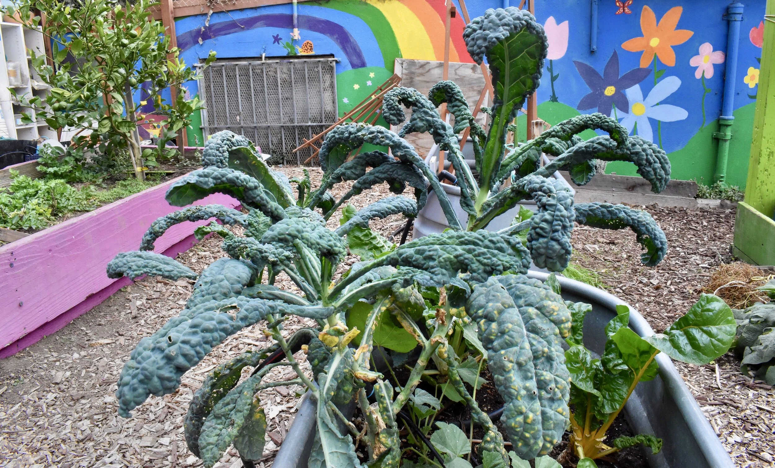 Our Sites — Urban Sprouts