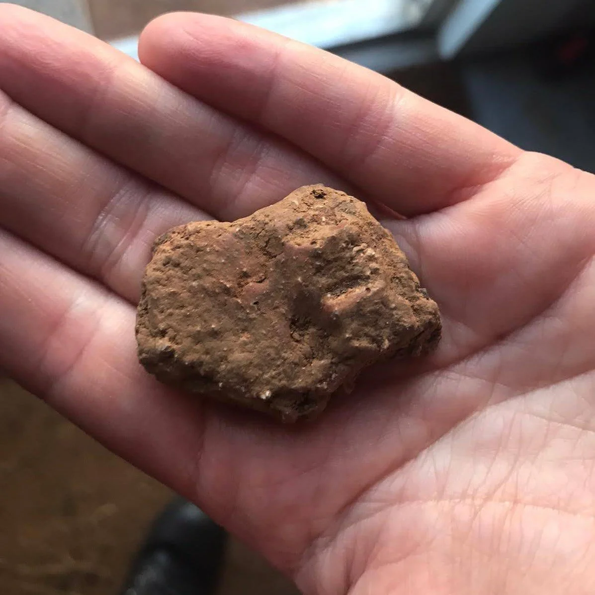 'Between the Barrows' Archaeology Dig 2023 — Andover Trees United