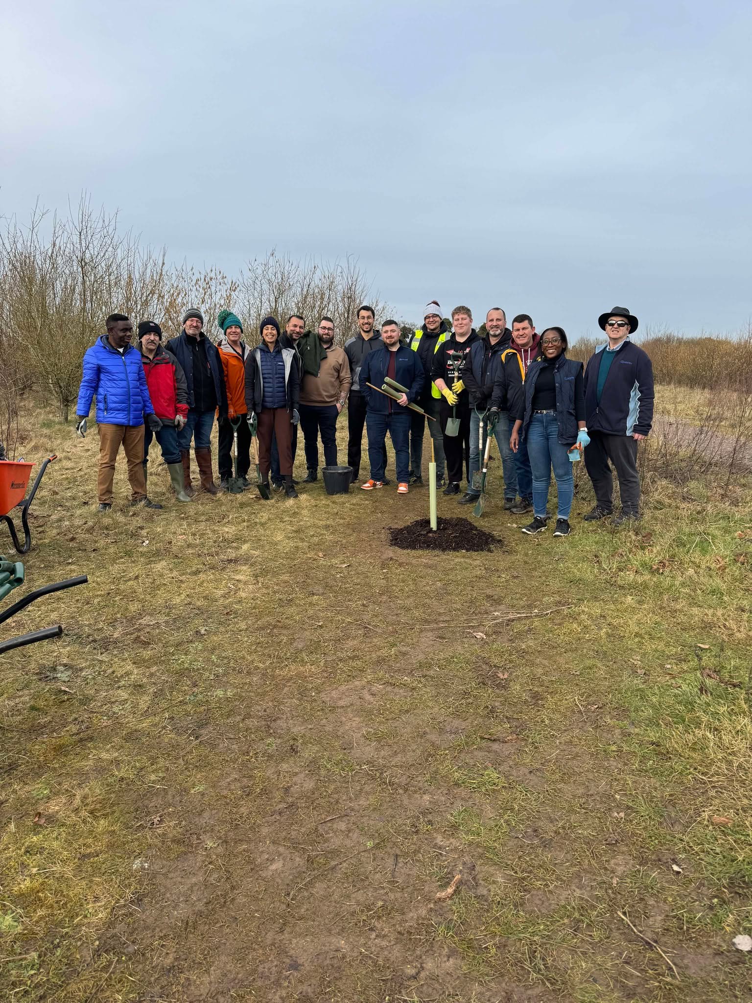 Harmony Woods Andover Trees United