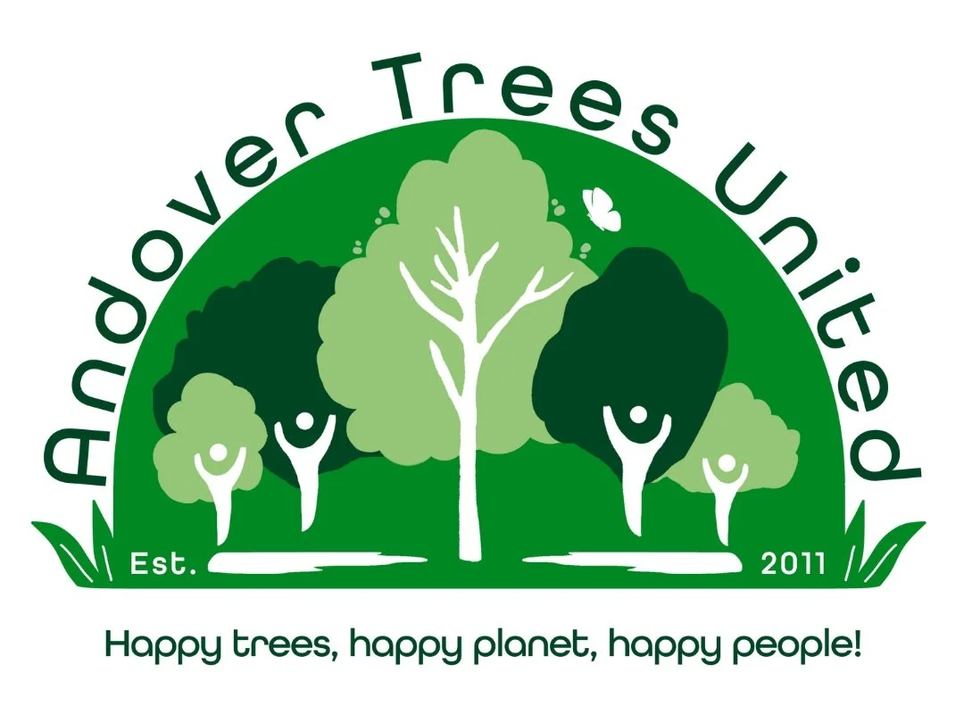 Announcing the New Logo for Andover Trees United — Andover Trees United