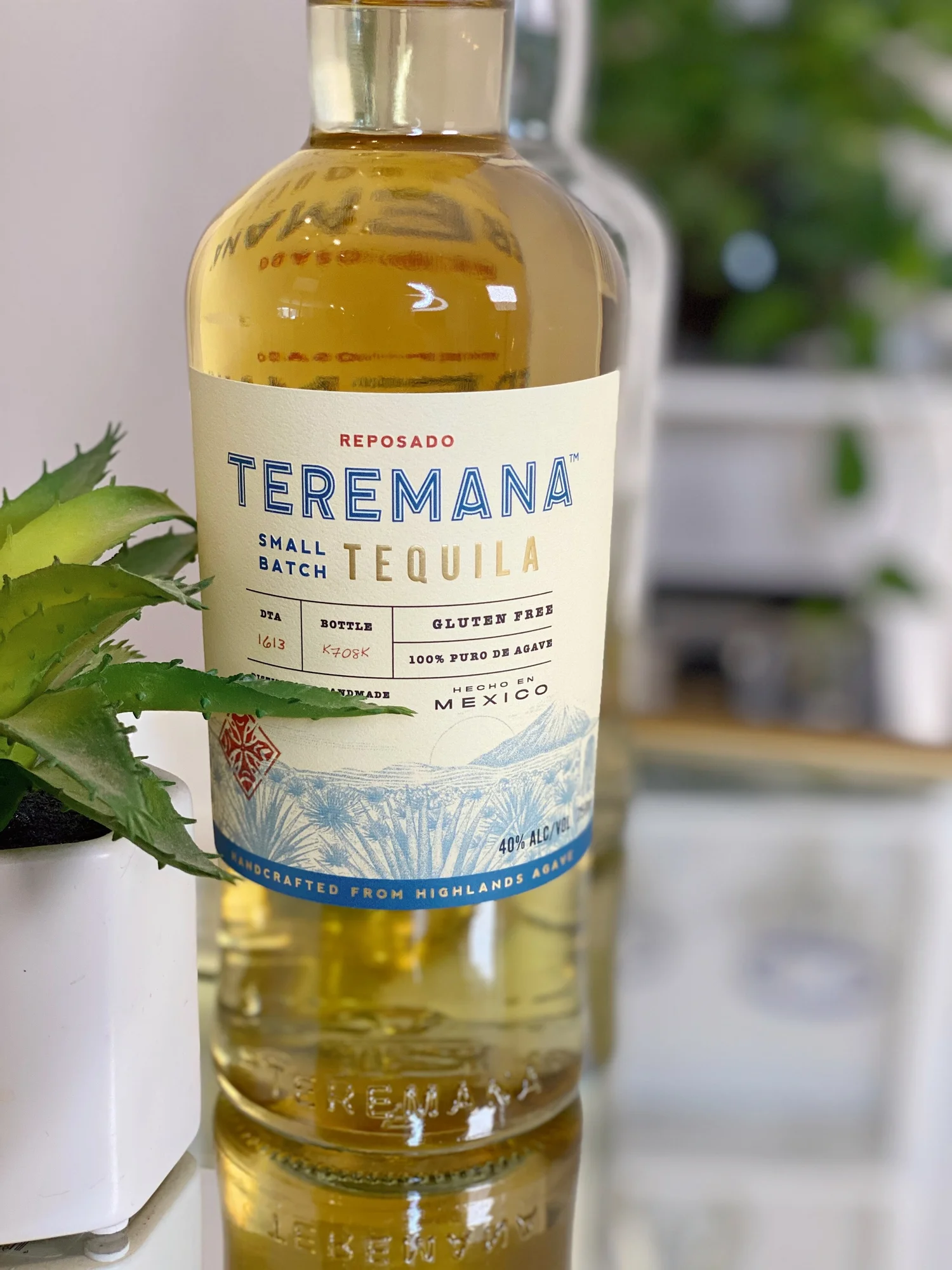 Tereman Tequila Review + Recipes — Dani Hawthorne