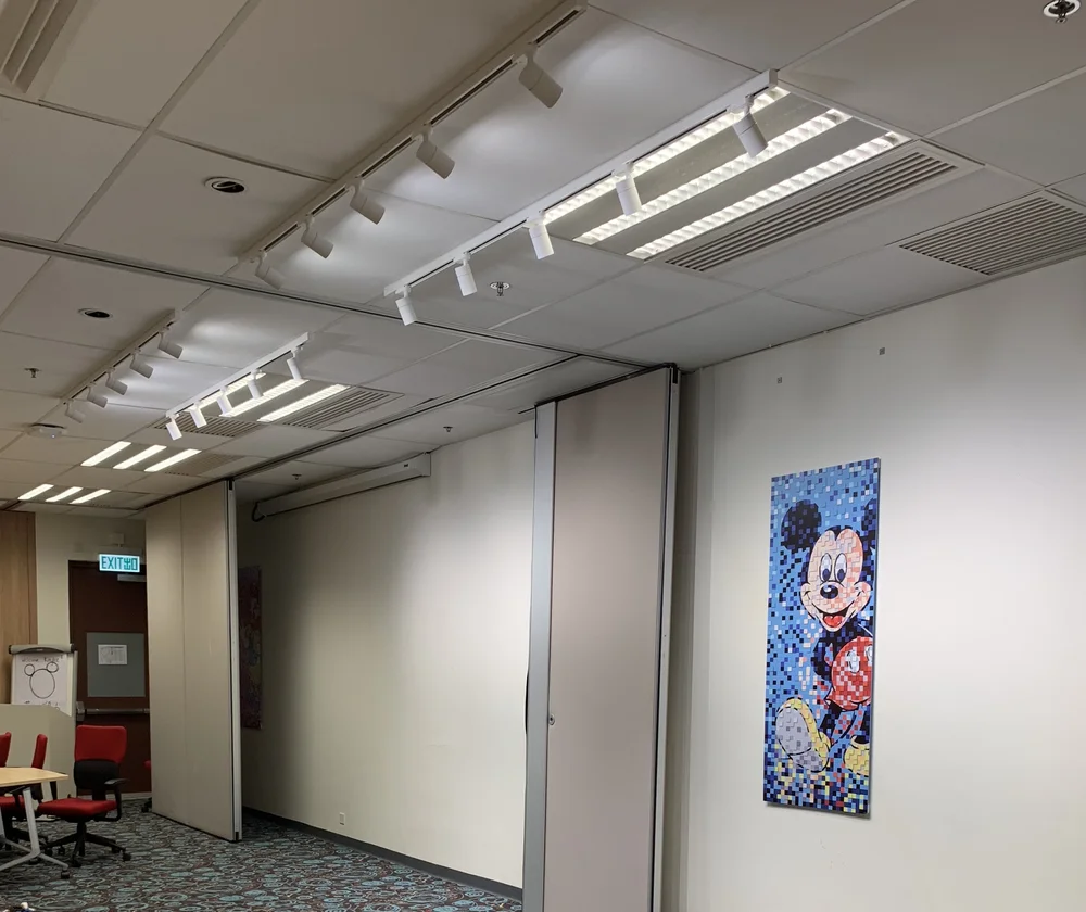 Disney University Training