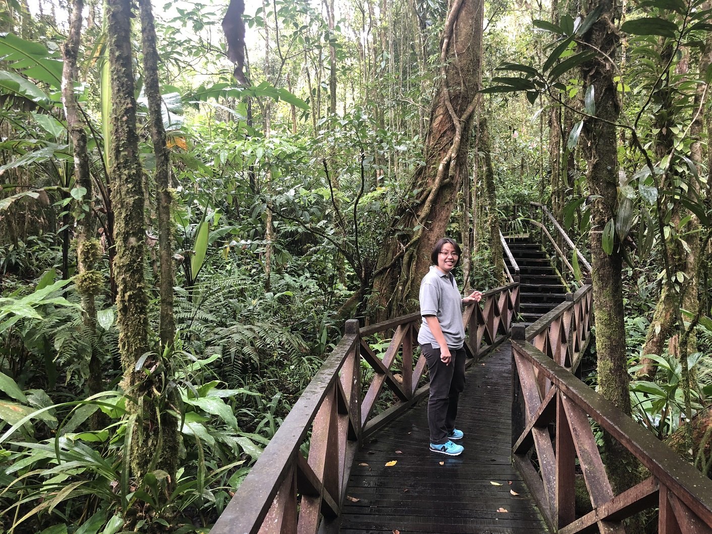 Kinabalu National Park (Day Tour) — Blue Kinabalu Travel Agency SDN BHD
