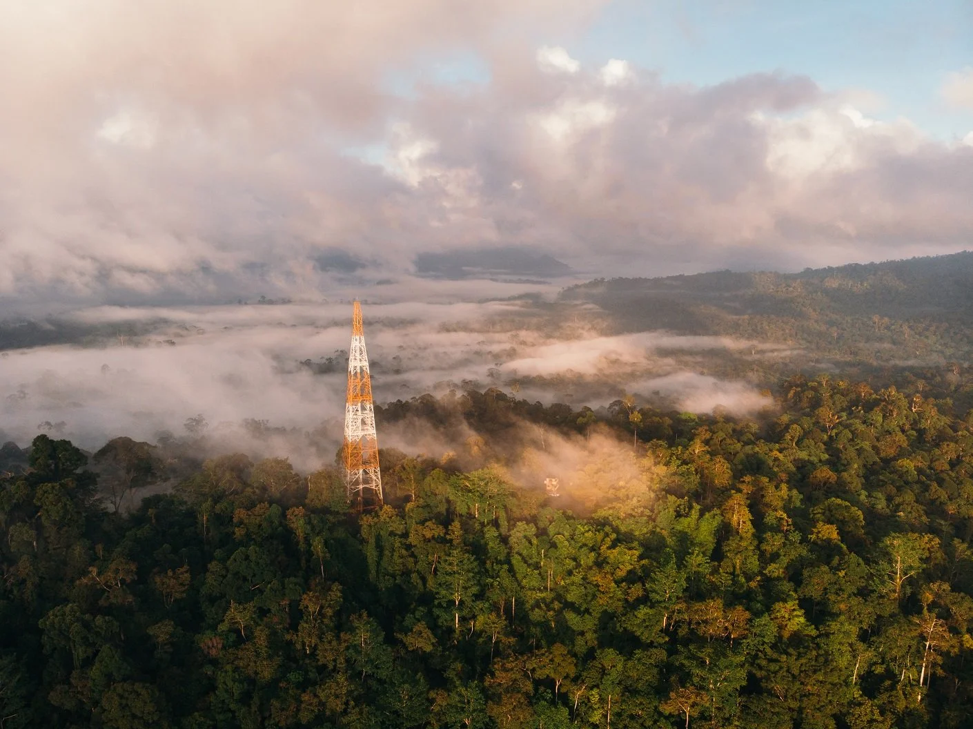 Danum Valley 3D2N — Blue Kinabalu Travel Agency SDN BHD