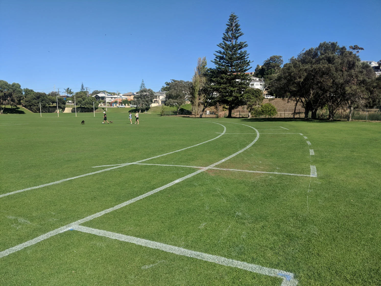 Sports Line Marking — The Line King