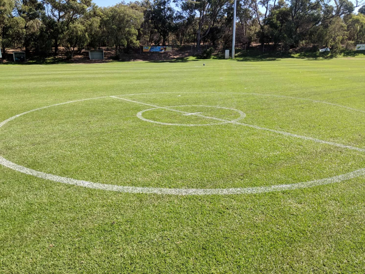 Sports Line Marking — The Line King