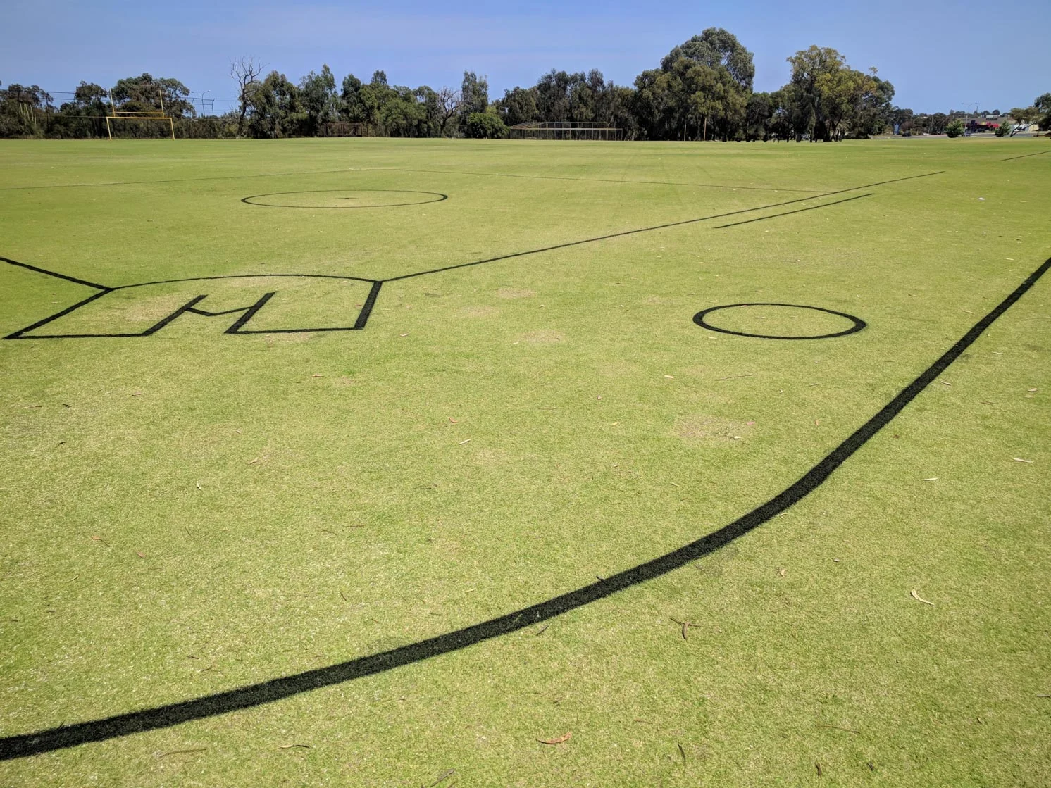 Sports Line Marking — The Line King