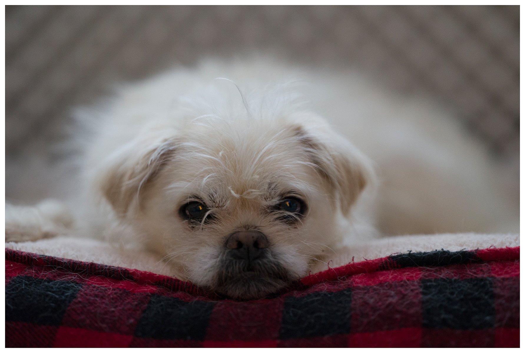 Round Two — Gloucester Camera Club