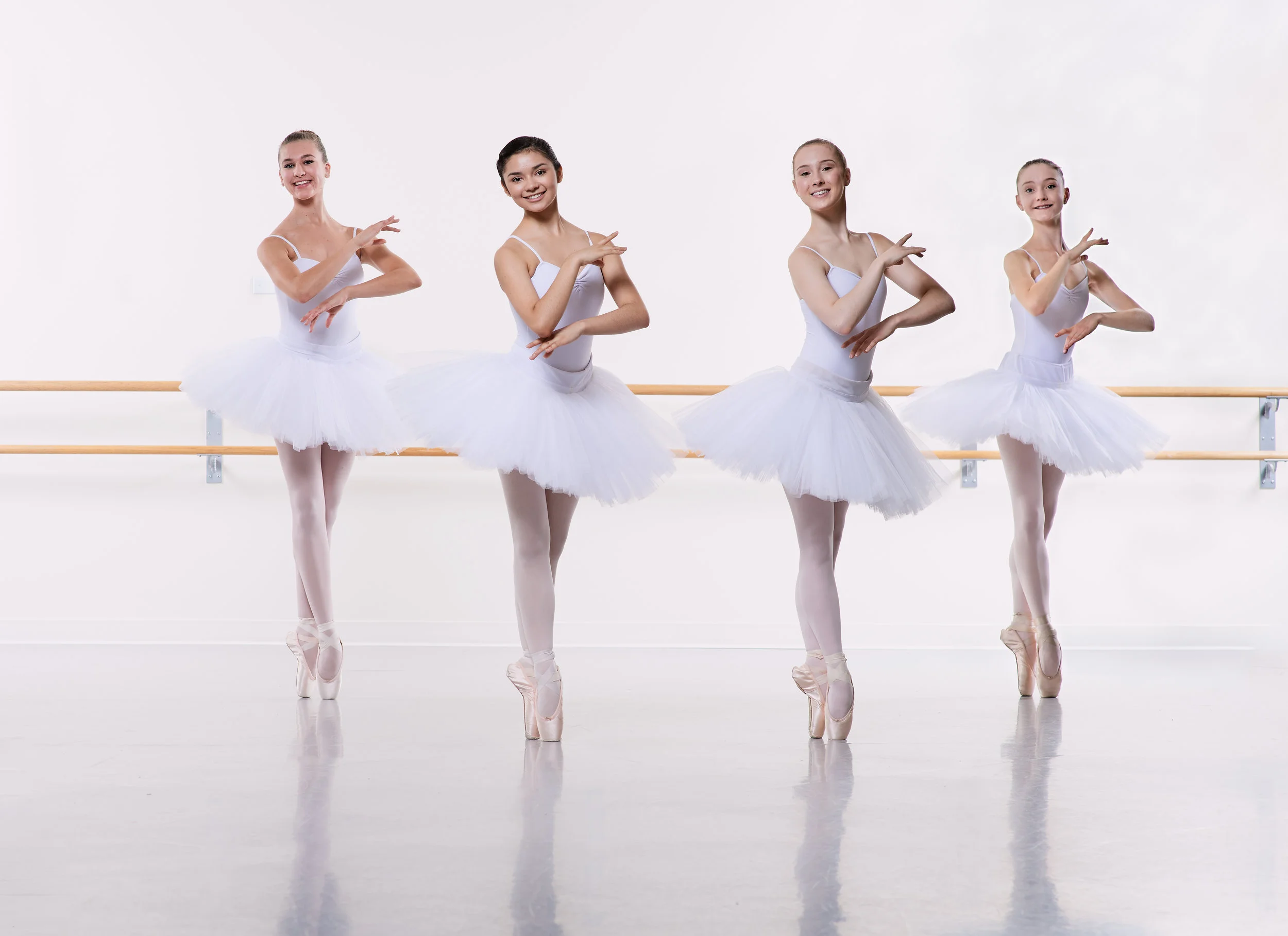Professional Division Information — Ballet Royale Minnesota