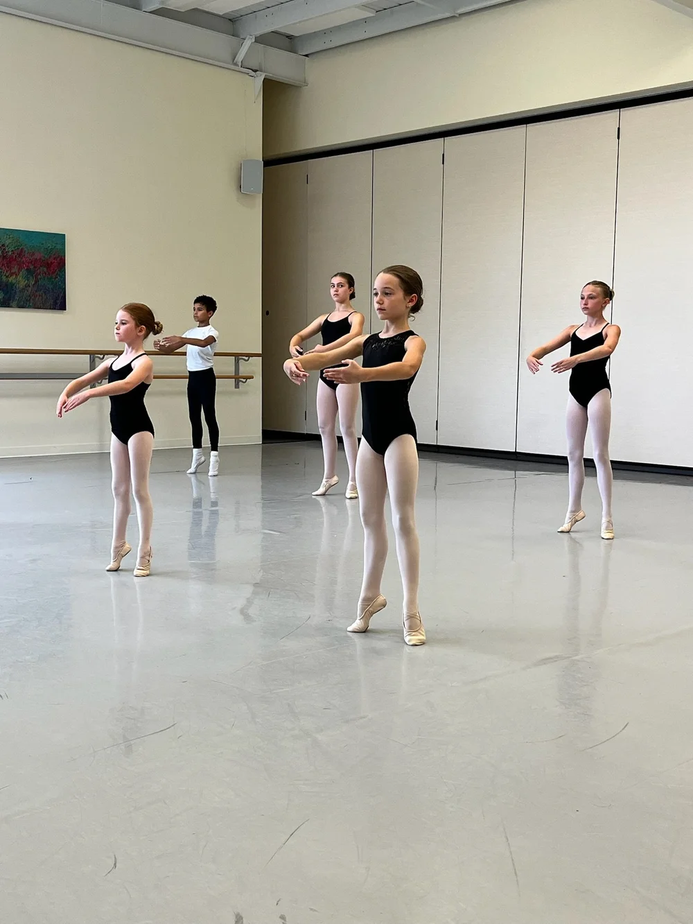 Summer Intensives Info — Ballet Royale Minnesota