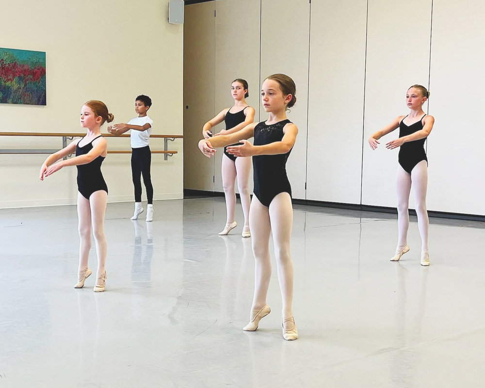 Ballet Royale Minnesota