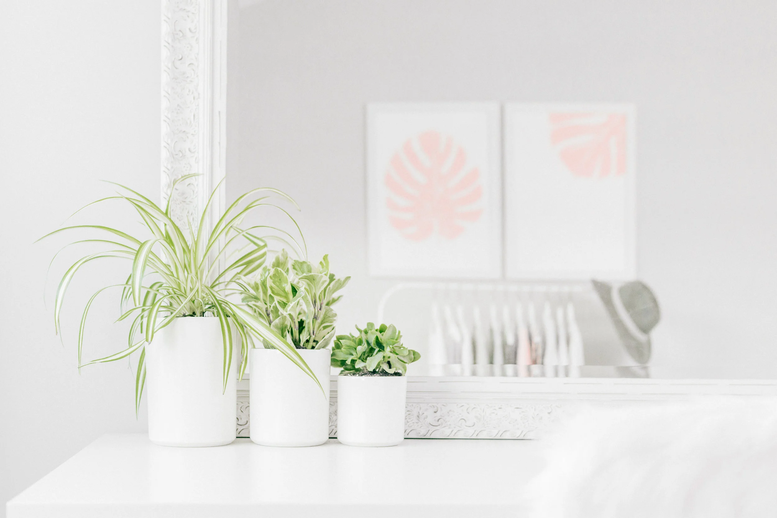 5 Etsy Shops for Plant Lovers — Easily Inspired